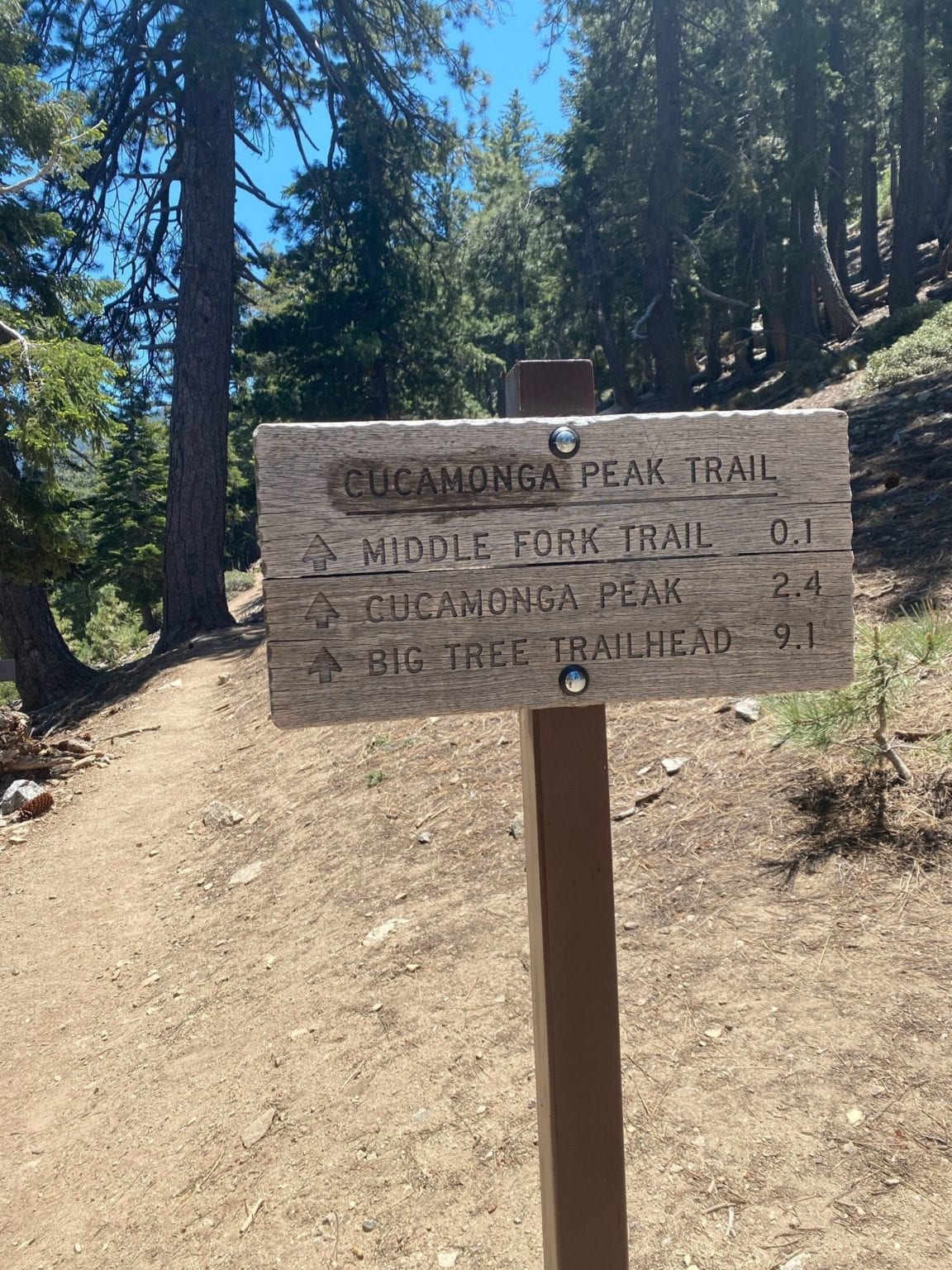 Cucamonga Peak Hike: Everything You Need To Know