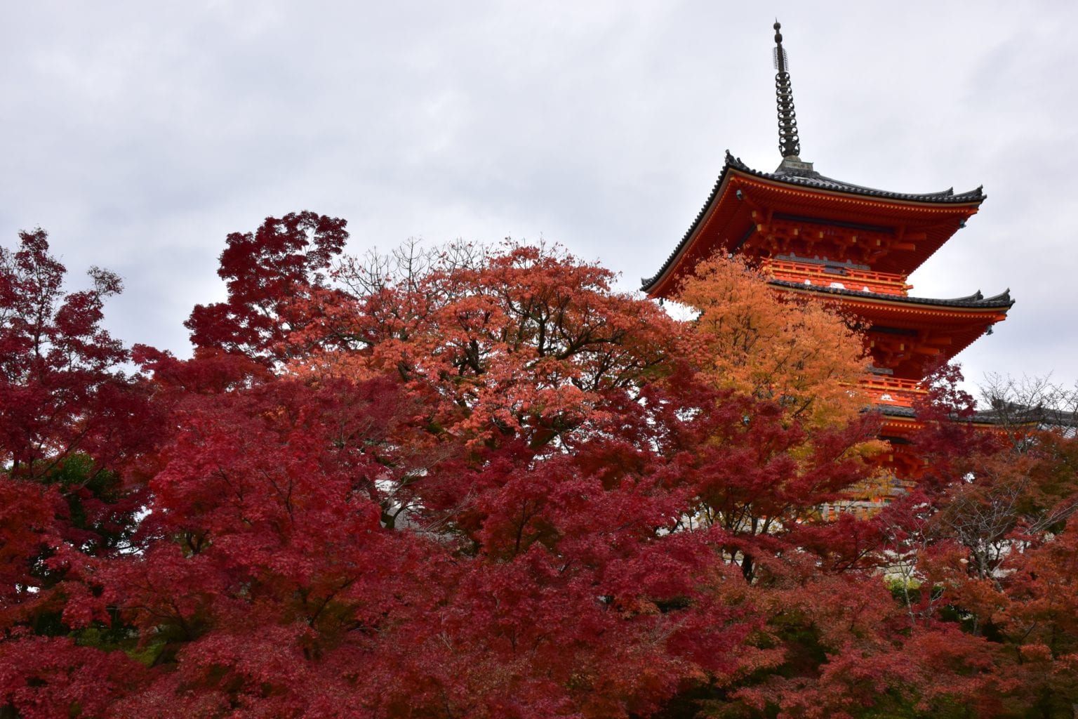 2 Days In Kyoto: The Ultimate Kyoto Highlights Itinerary