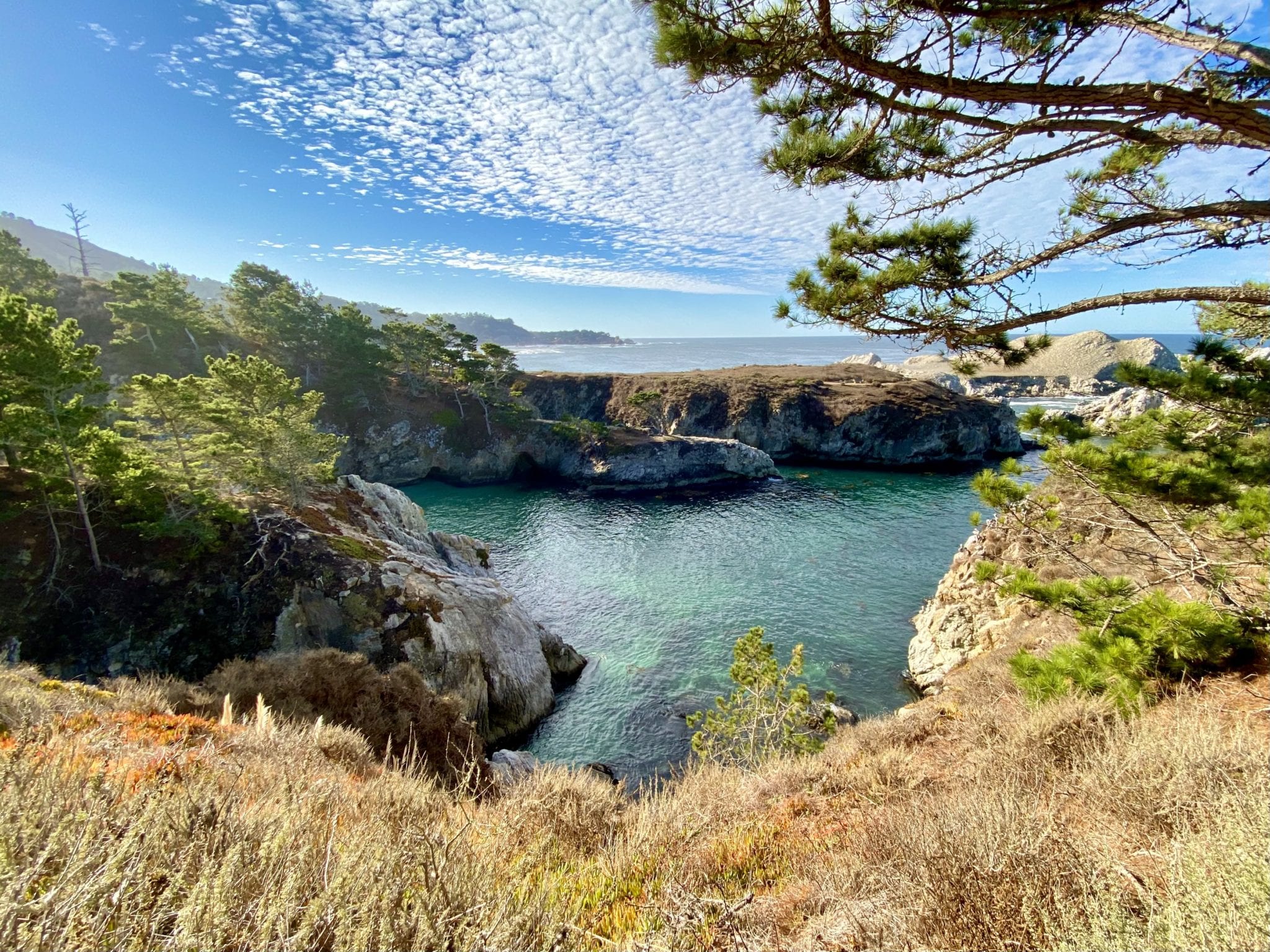 34+ Best Things To Do In Monterey Bay, CA