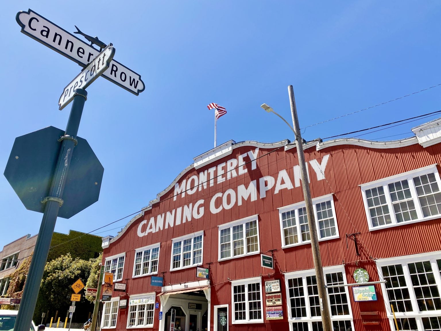 34+ Fun-Filled Things To Do In Monterey Bay, CA