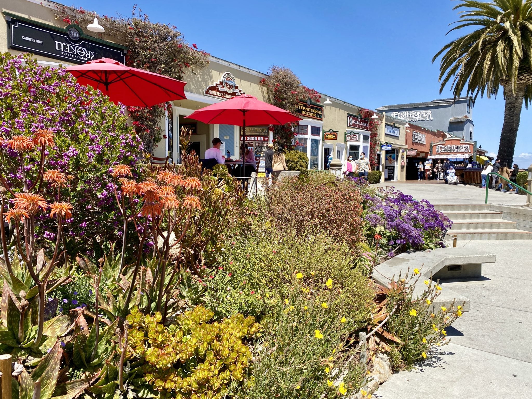 34 Best Things To Do In Monterey Bay Ca Travels With Elle