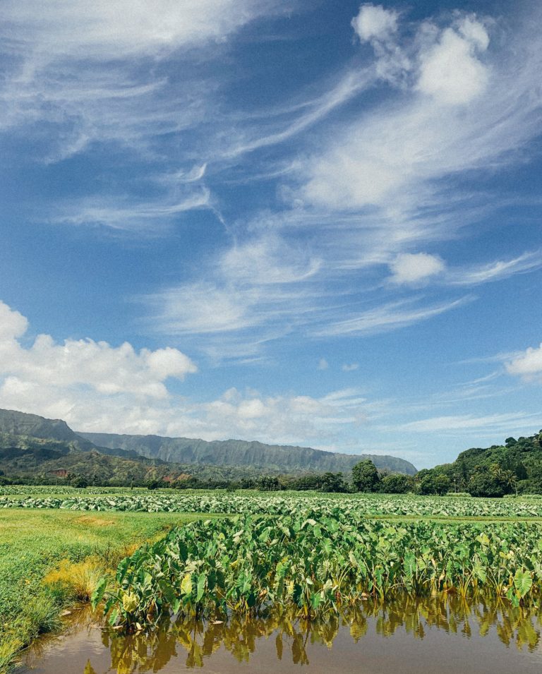 32+ Best Things To Do In Hanalei And Princeville, Kauai