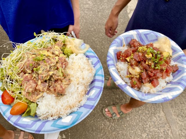 32+ Best Things To Do In Hanalei And Princeville, Kauai - Travels With Elle
