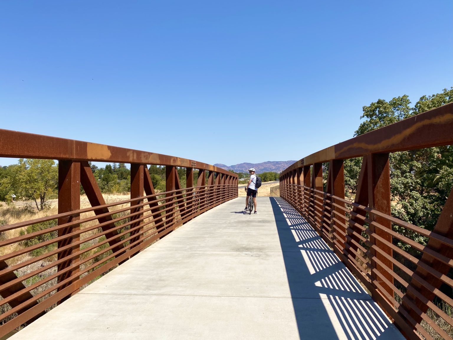 Guide To The Napa Valley Vine Trail: Everything You Need To Know