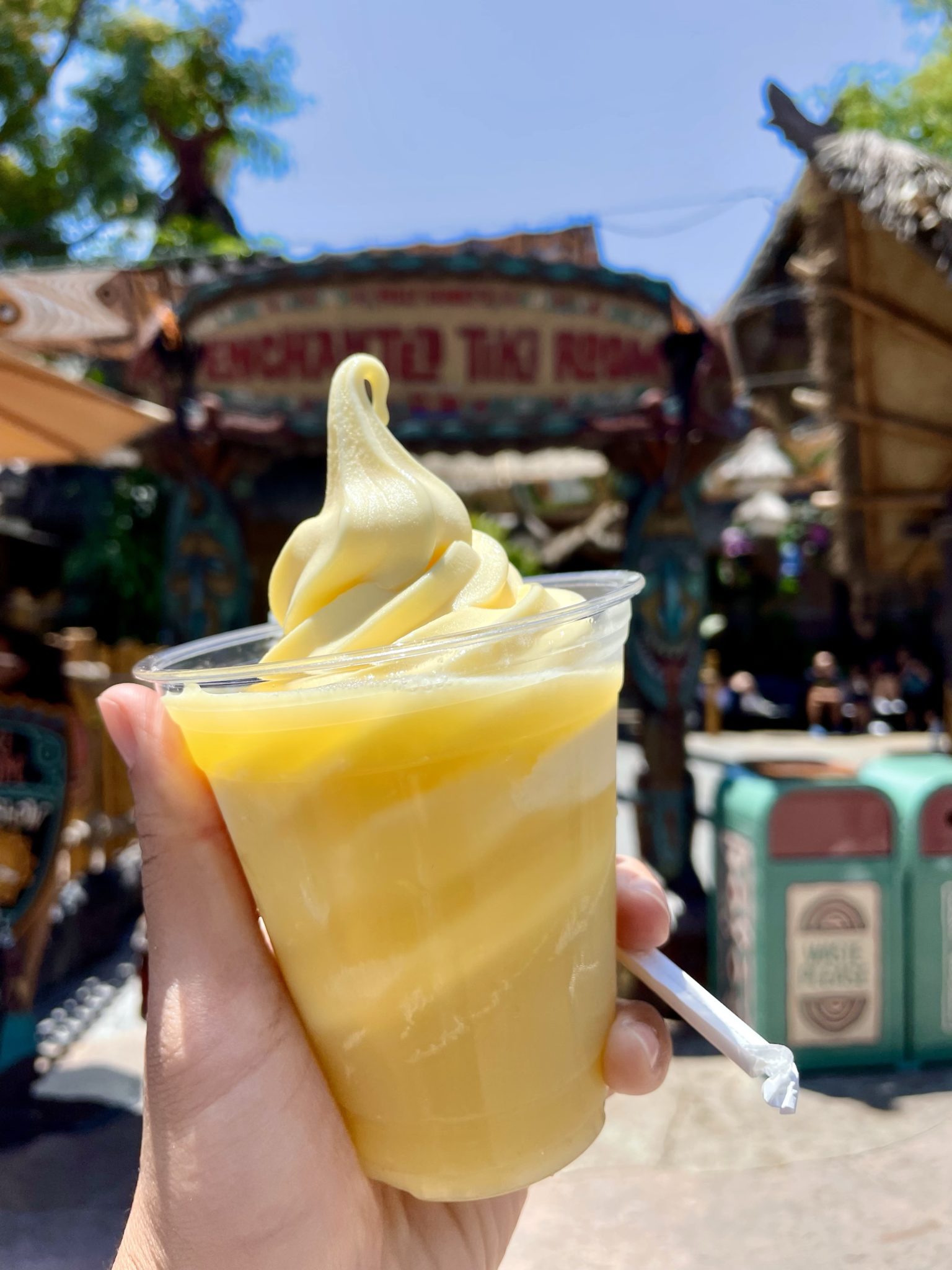 The Ultimate Disneyland Packing List: 20 Essentials For Your Park Day