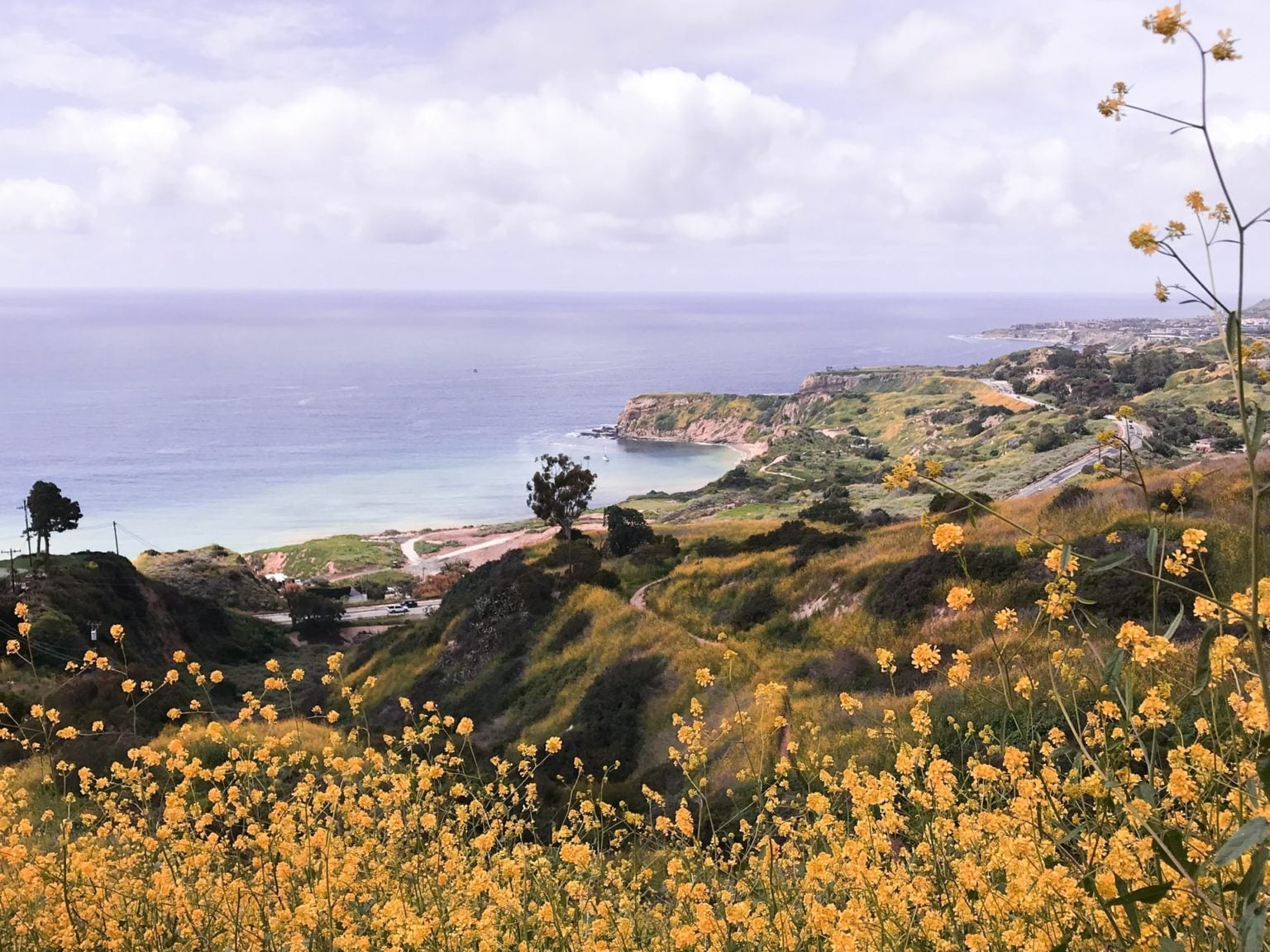 28 Fun Things To Do In The South Bay Los Angeles, California