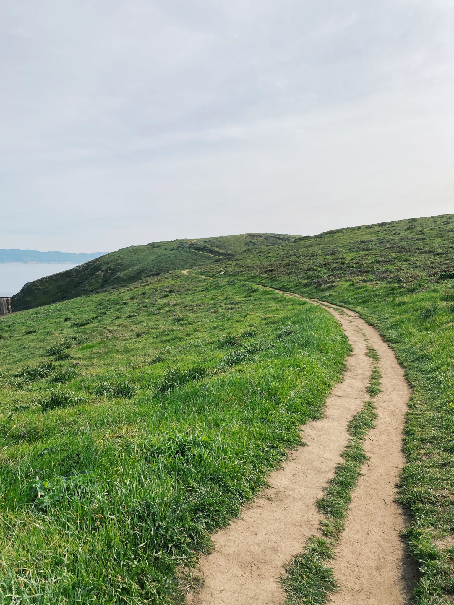 Point Reyes Day Trip Itinerary: The Perfect Weekend Adventure
