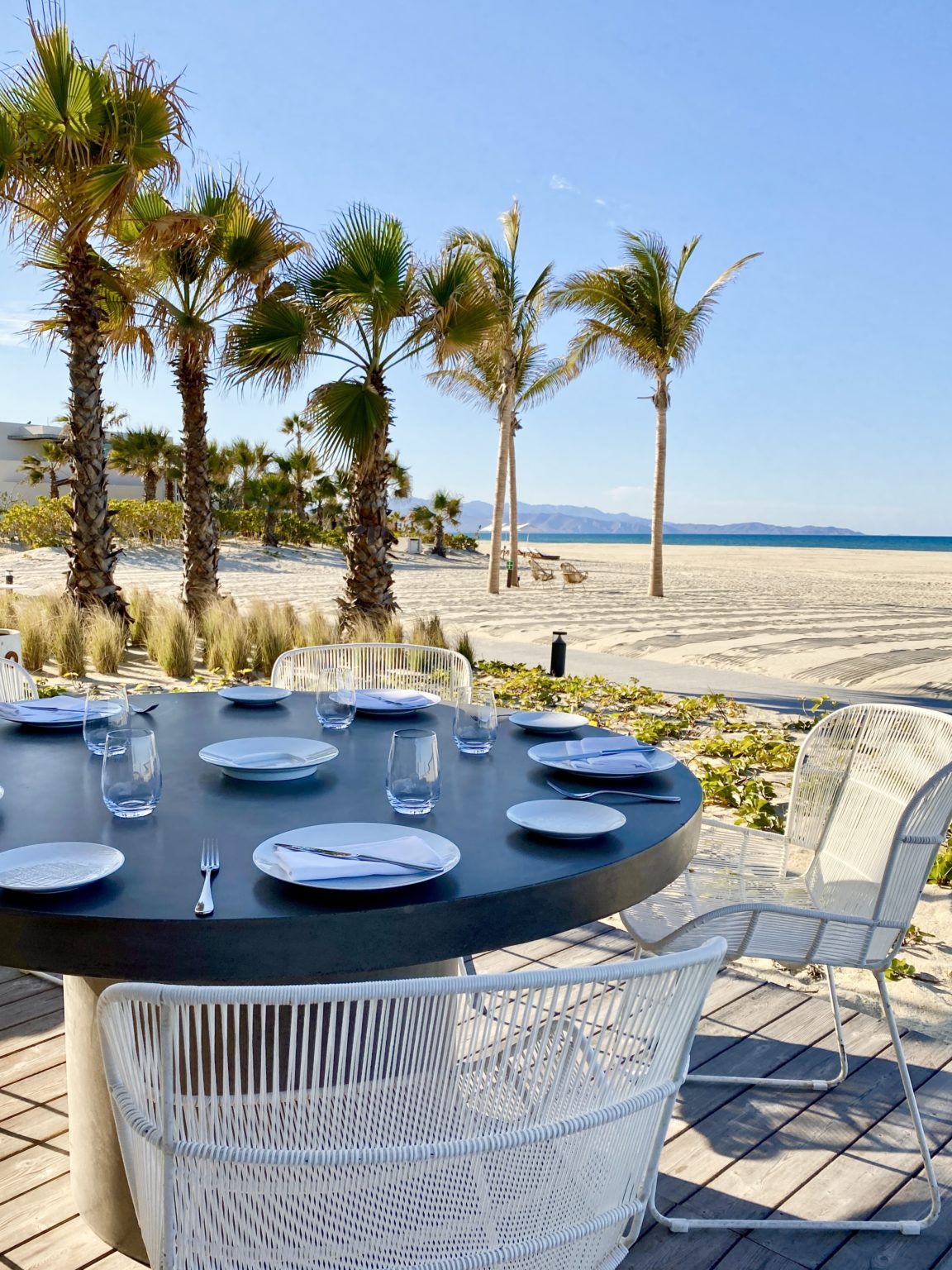 15 Magical Things To Do In La Ribera and The East Cape, Baja California ...