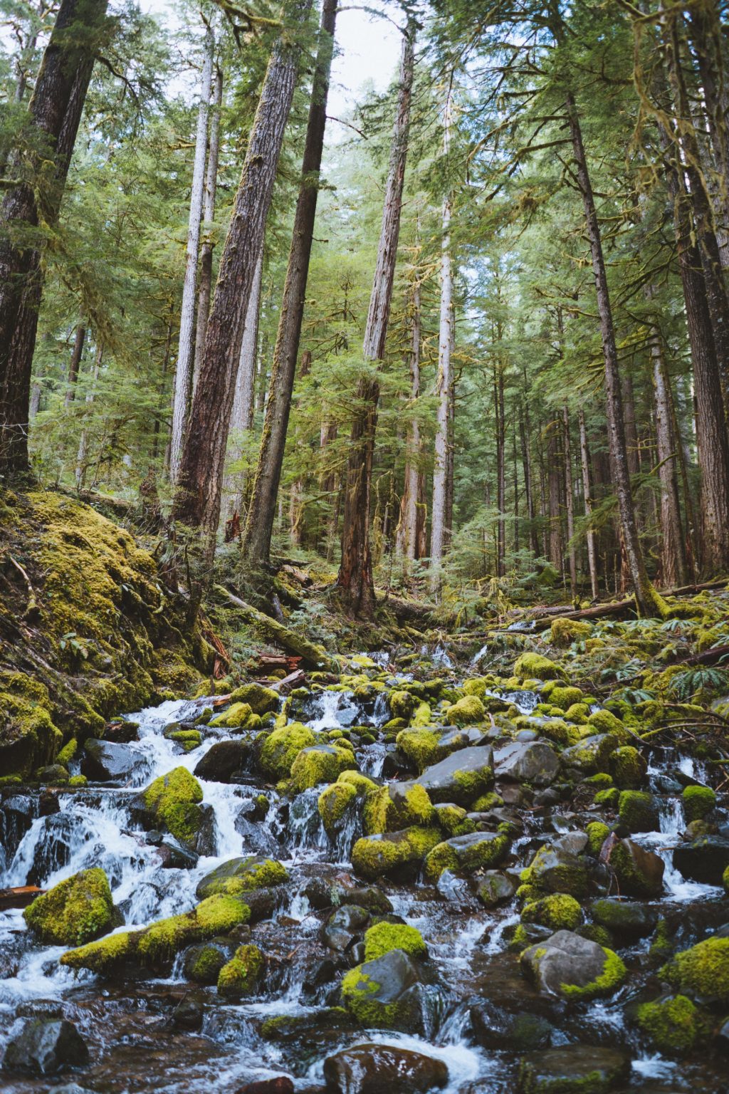 20 Unbelievably Beautiful Places To Visit In Washington State