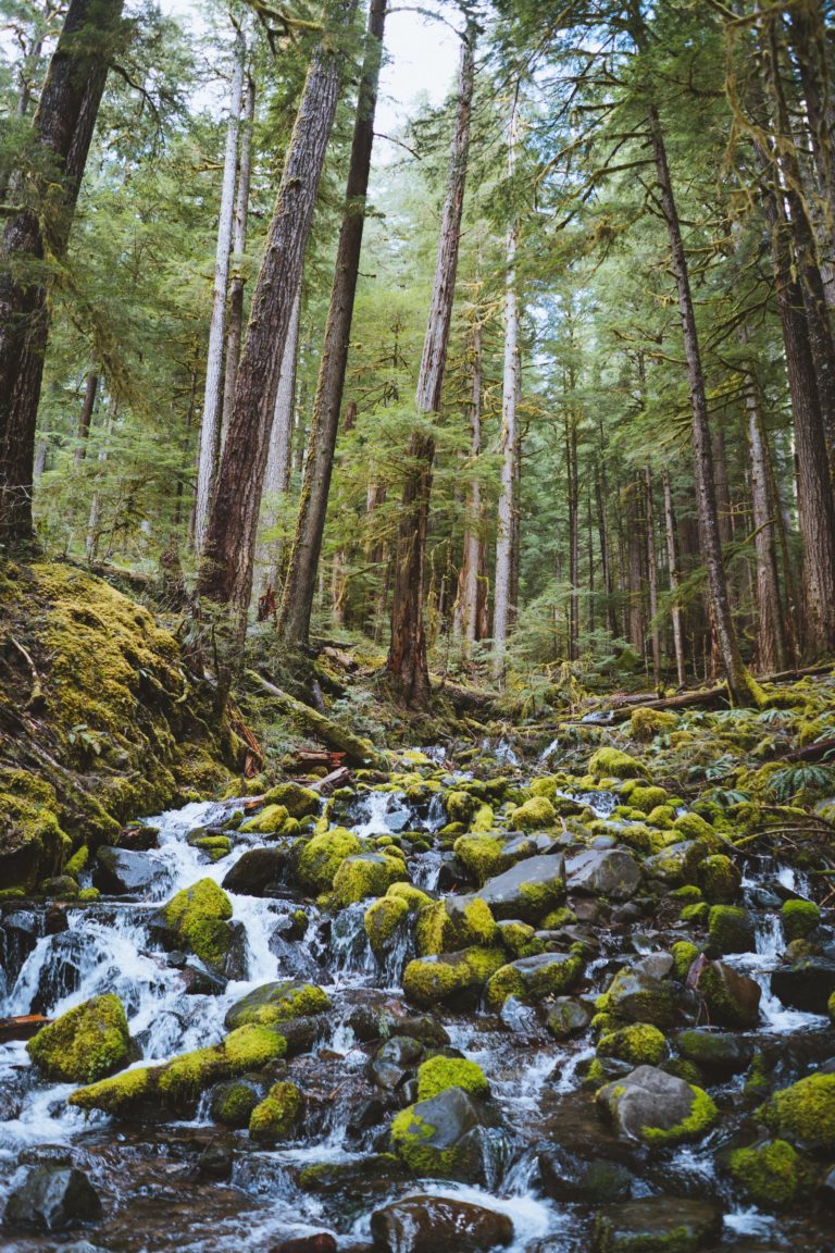20 Unbelievably Beautiful Places To Visit In Washington State