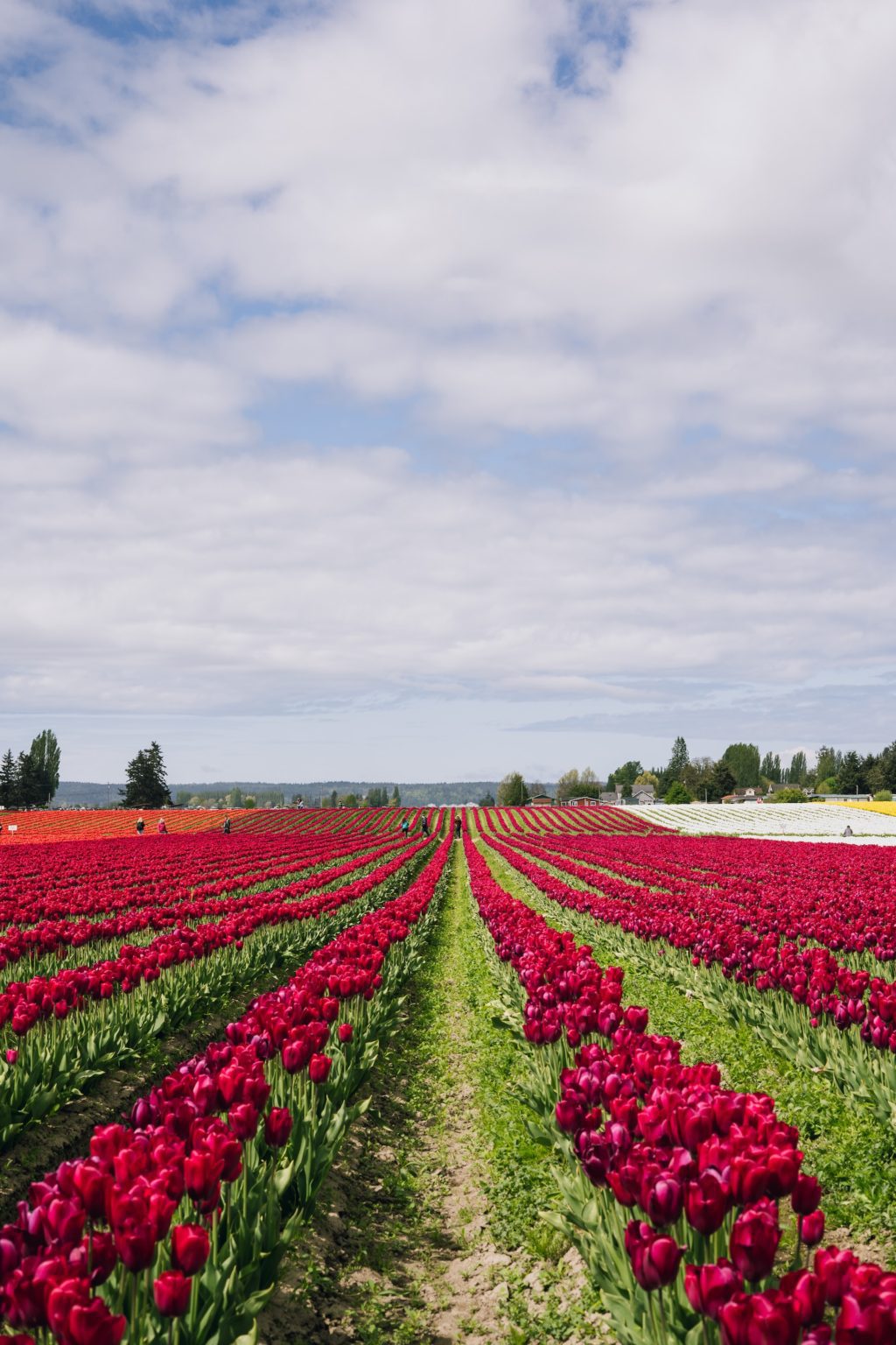 15 Fun-Filled Road Trips From Seattle, Washington
