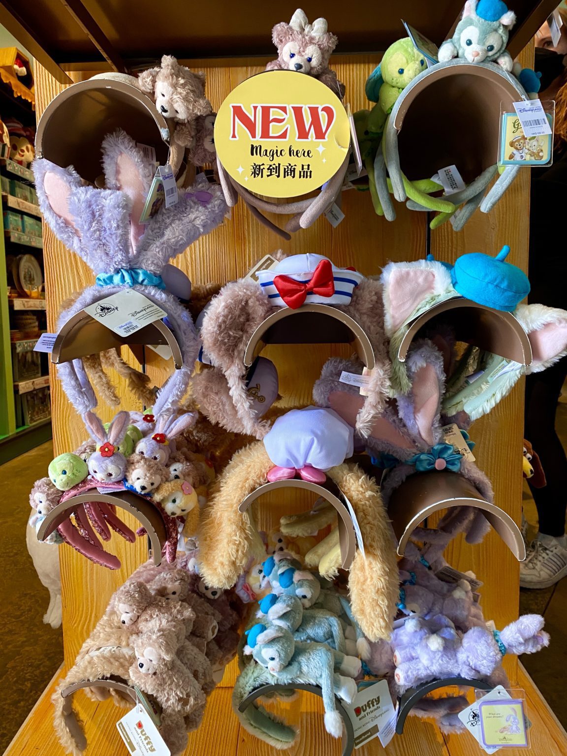 The Ultimate Disneyland Packing List: 20 Essentials For Your Park Day