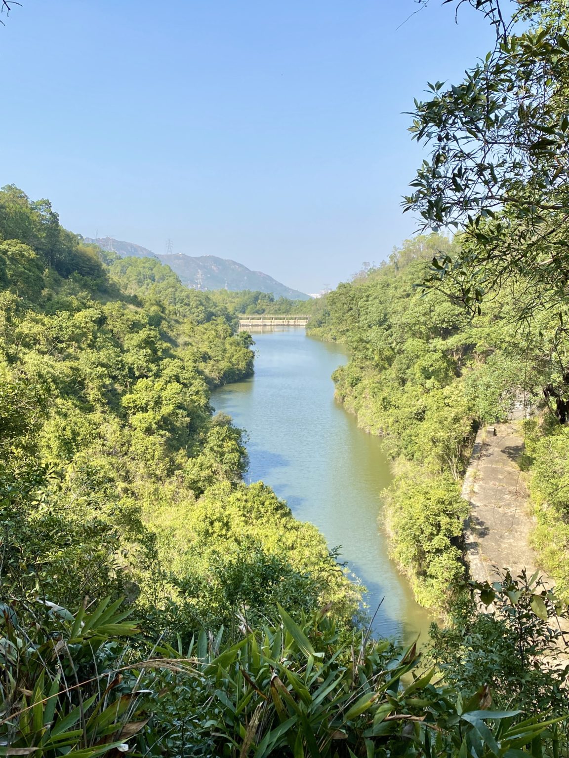 Reservoir Islands Viewpoint Hiking Guide: Everything You Need To Know