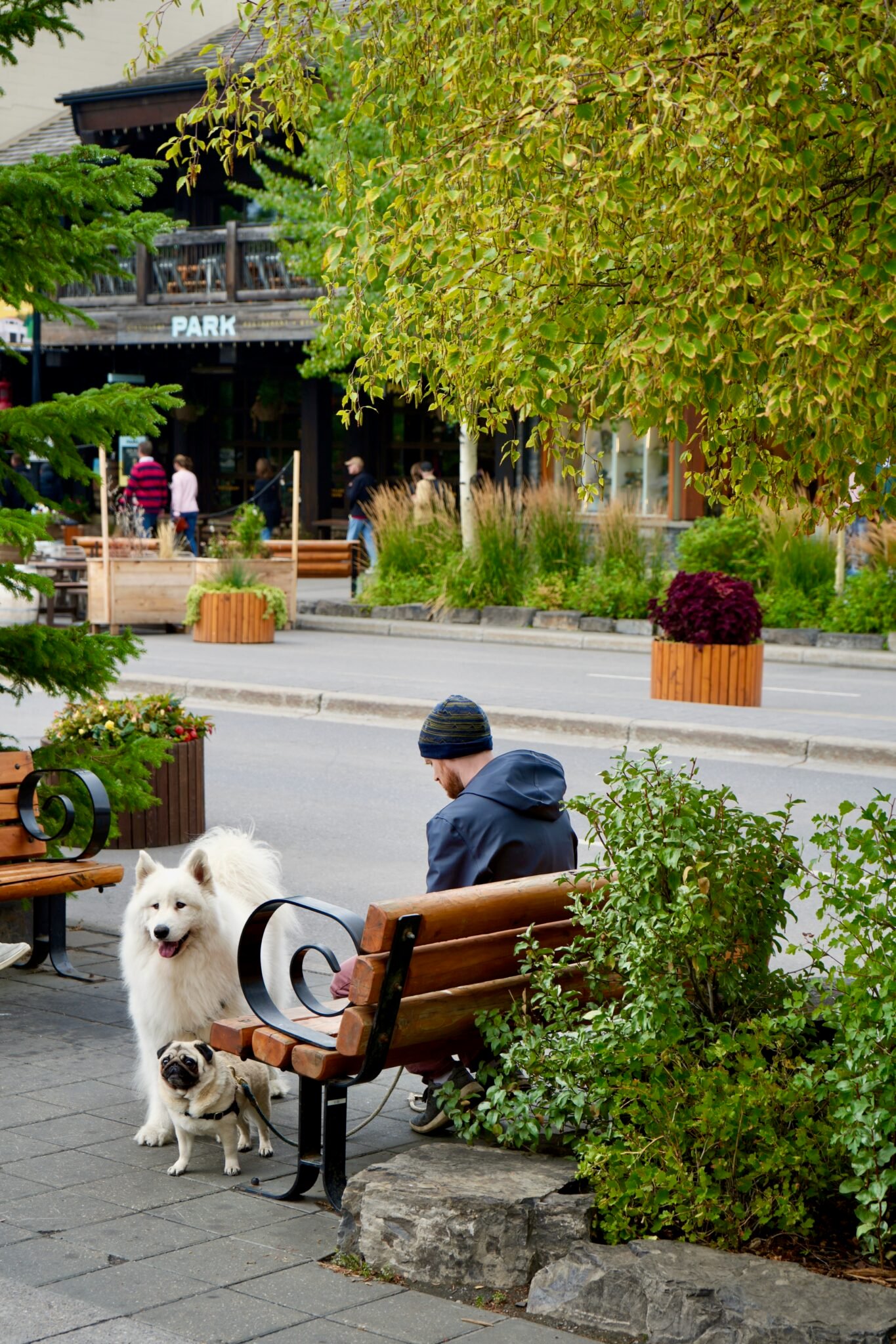 The Perfect 7-Day Banff And Jasper National Park Itinerary