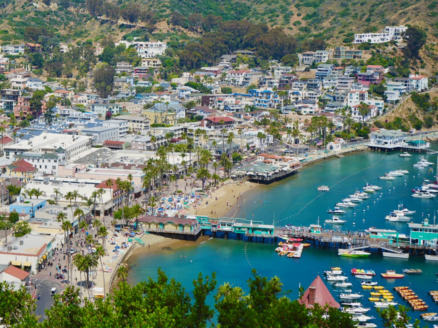15 Best Things To Do On Catalina Island For An Epic Day Trip