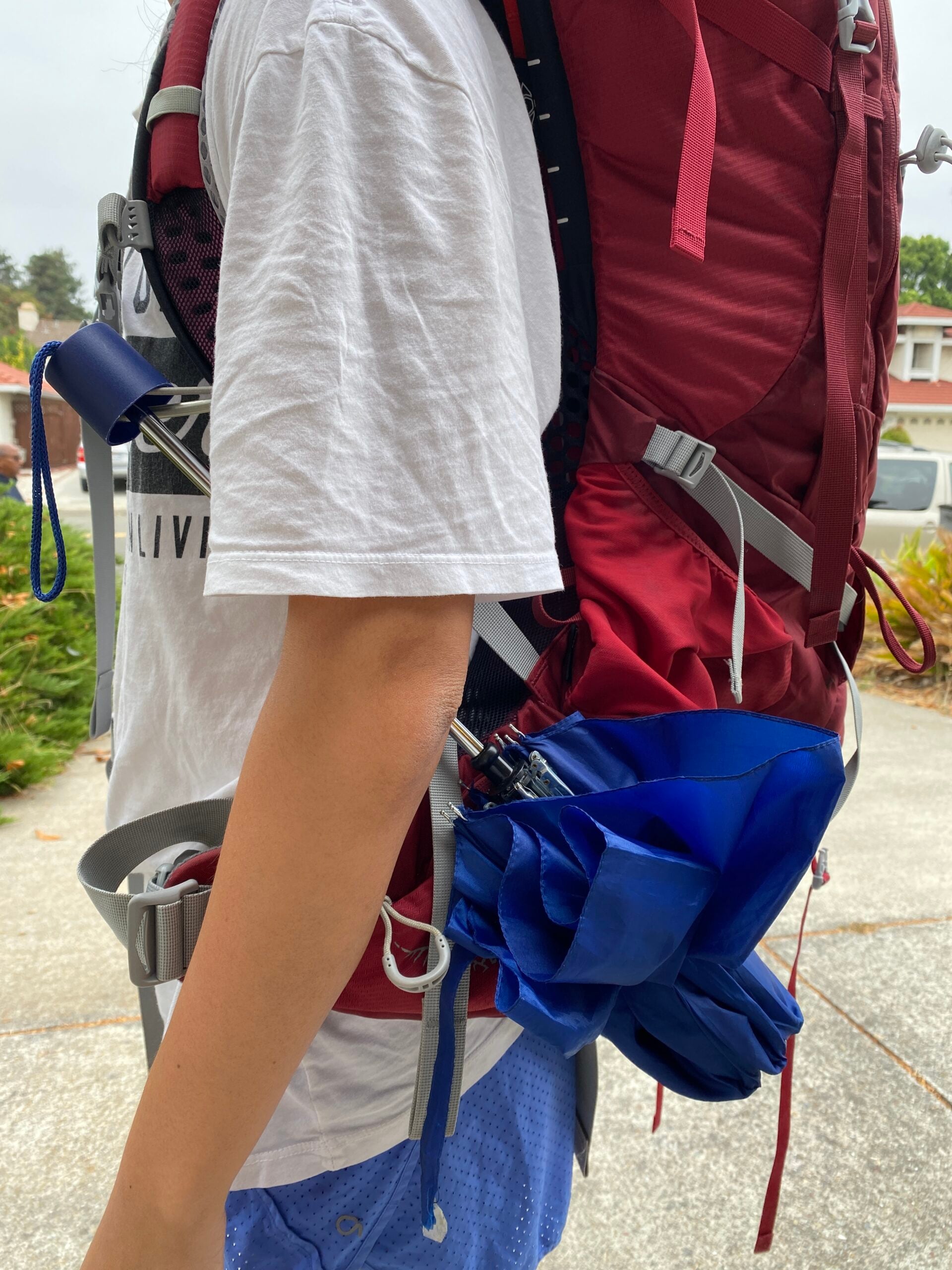 7 Best Hiking Umbrellas For Staying Cool And Dry