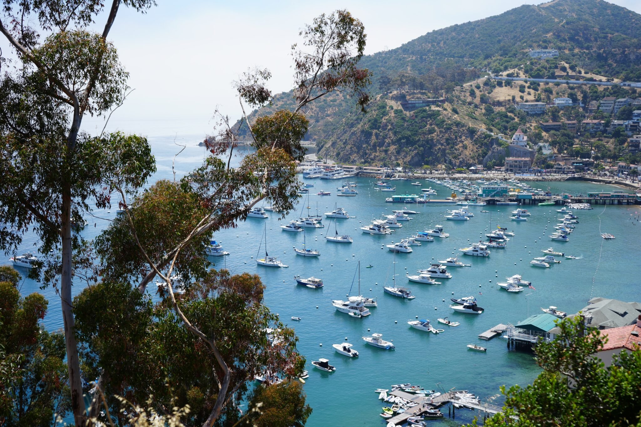15 Best Things To Do On Catalina Island For An Epic Day Trip