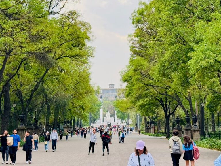 12 Things To Do While You're In Mexico City's Polanco Neighborhood