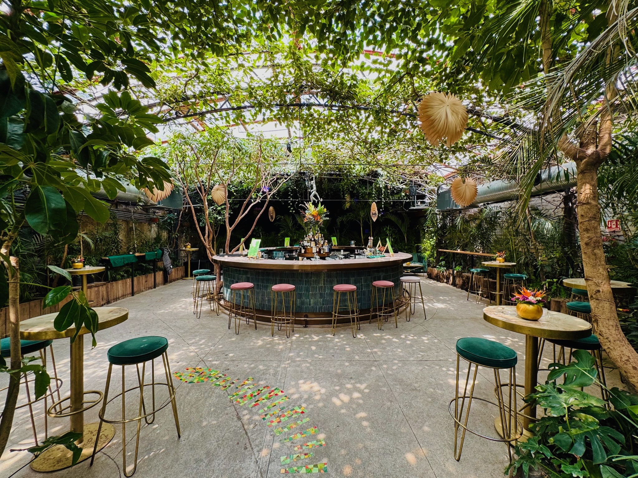 15 Things To Do In Roma Norte: CDMX's Trendiest Area