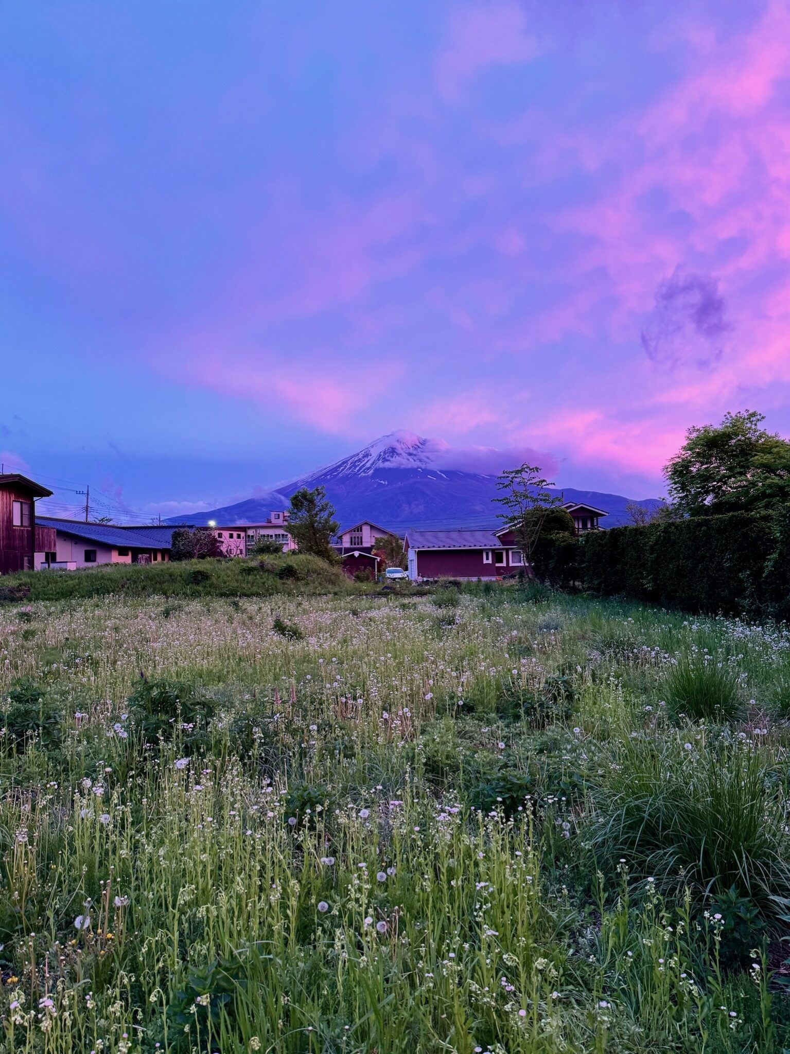 25 Fun Things To Do In Kawaguchiko + Beyond (Mount Fuji Travel Guide ...