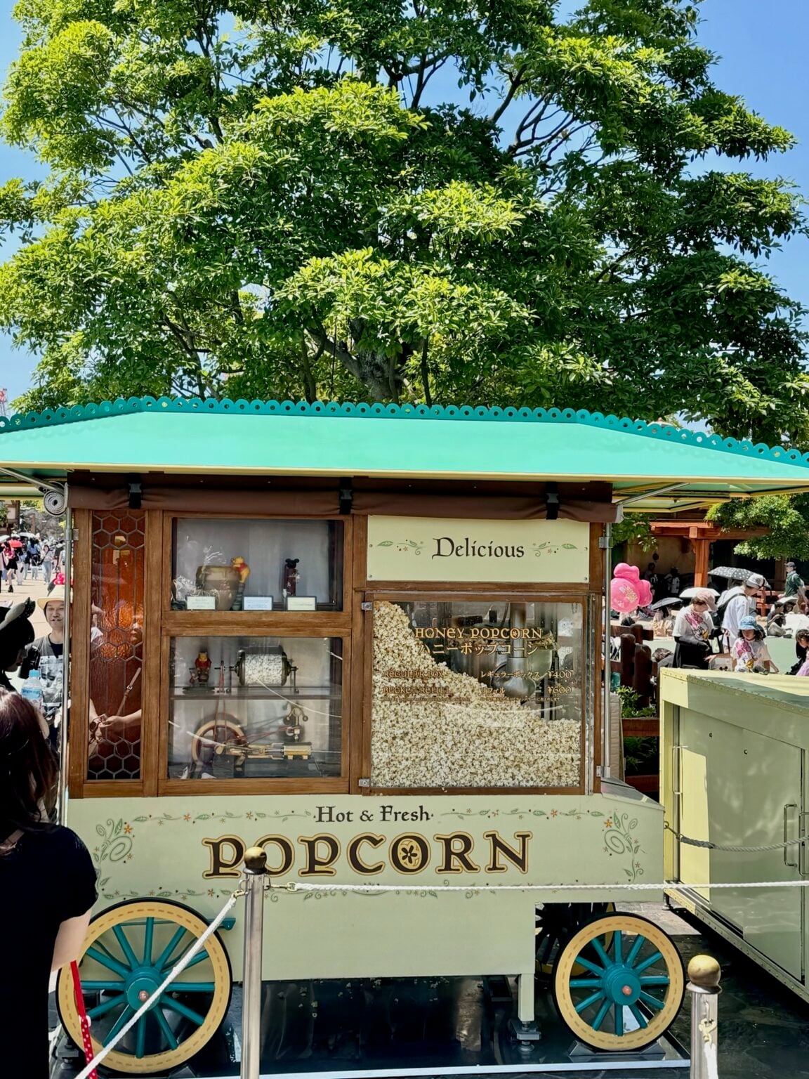 20 Essential Tips To Prepare You For Tokyo DisneySea