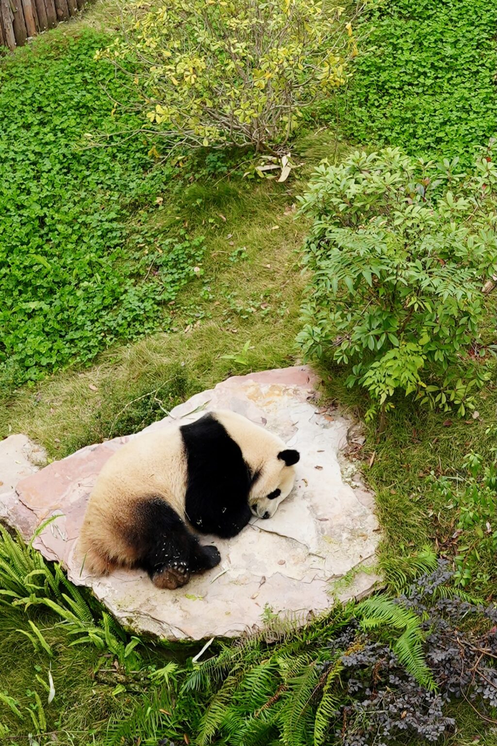 15 Actually Fun Things To Do In Chengdu: Beyond Pandas And Temples