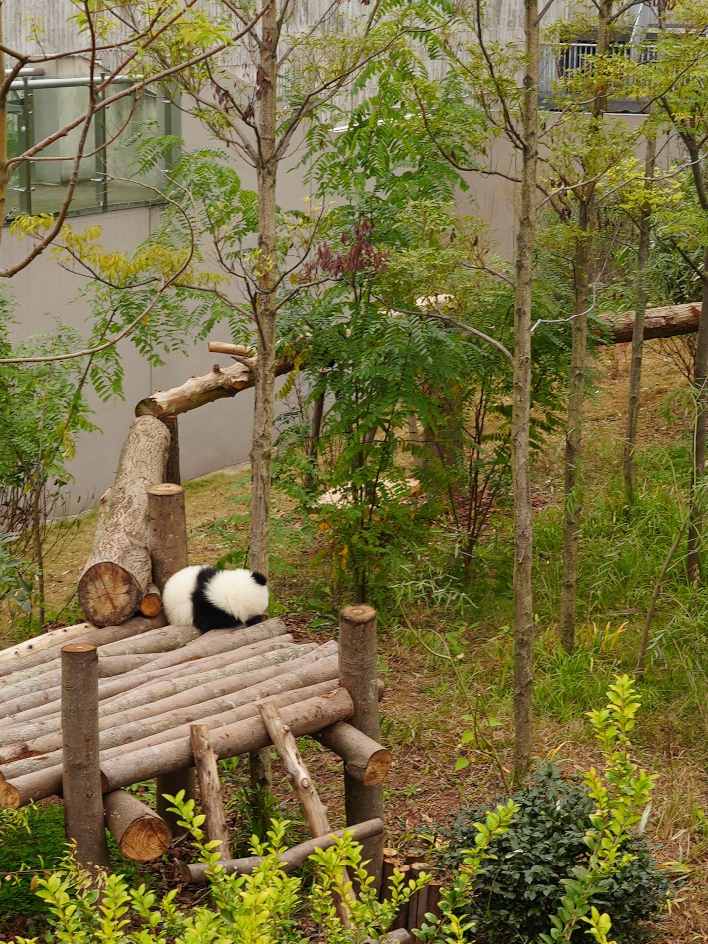 15 Actually Fun Things To Do In Chengdu: Beyond Pandas And Temples