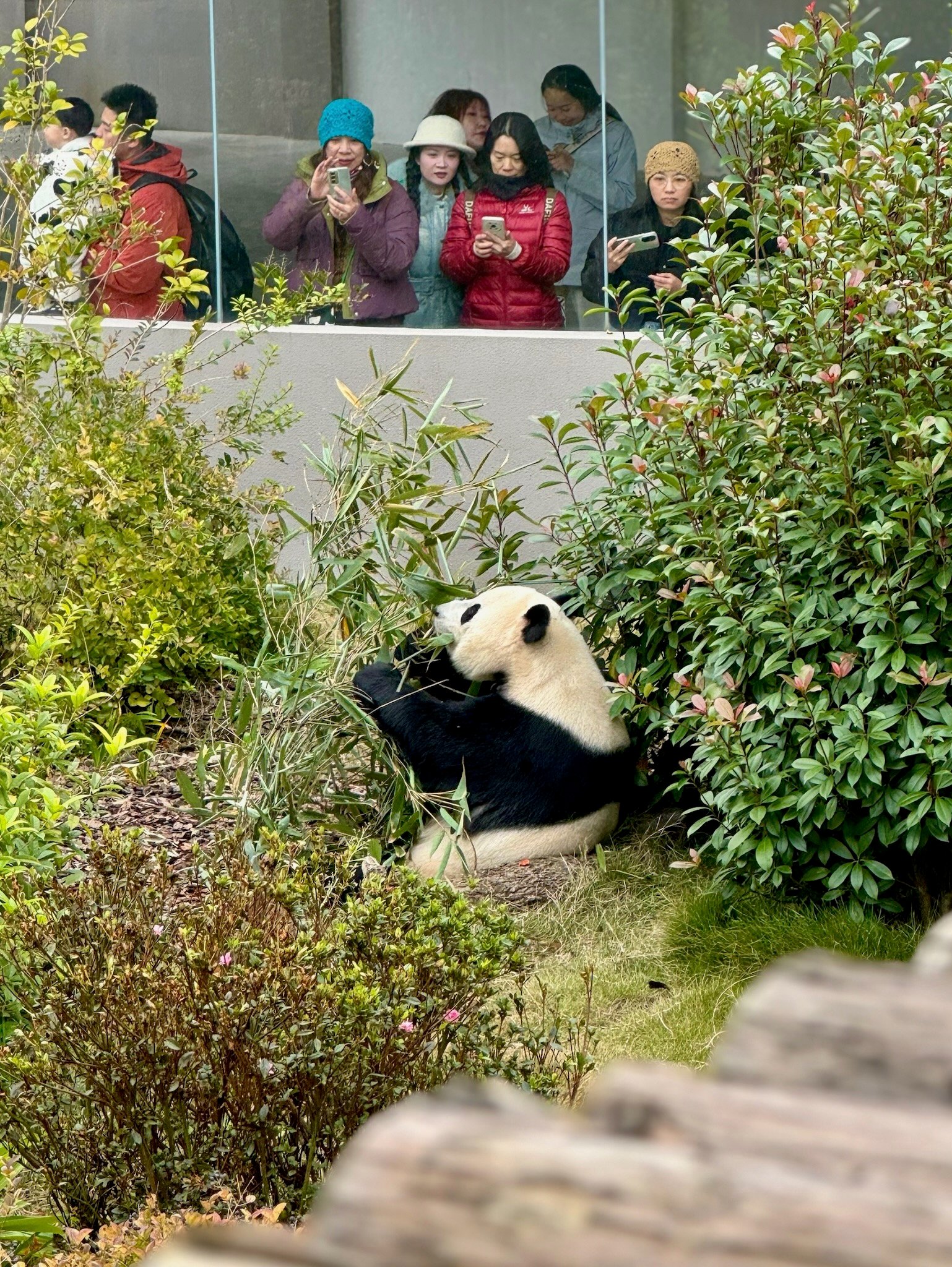 15 Actually Fun Things To Do In Chengdu: Beyond Pandas And Temples