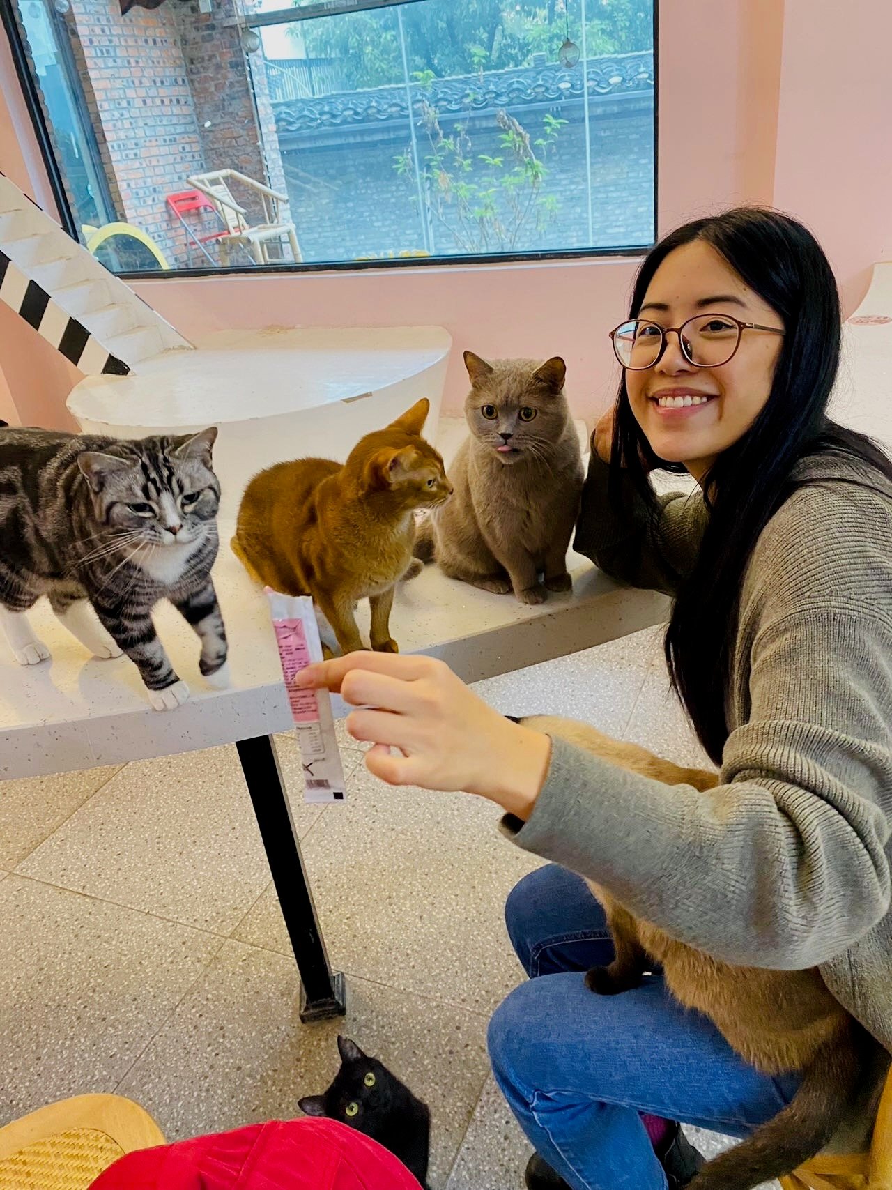 Shibati (18 Steps): A Walk Through Chongqing's Past